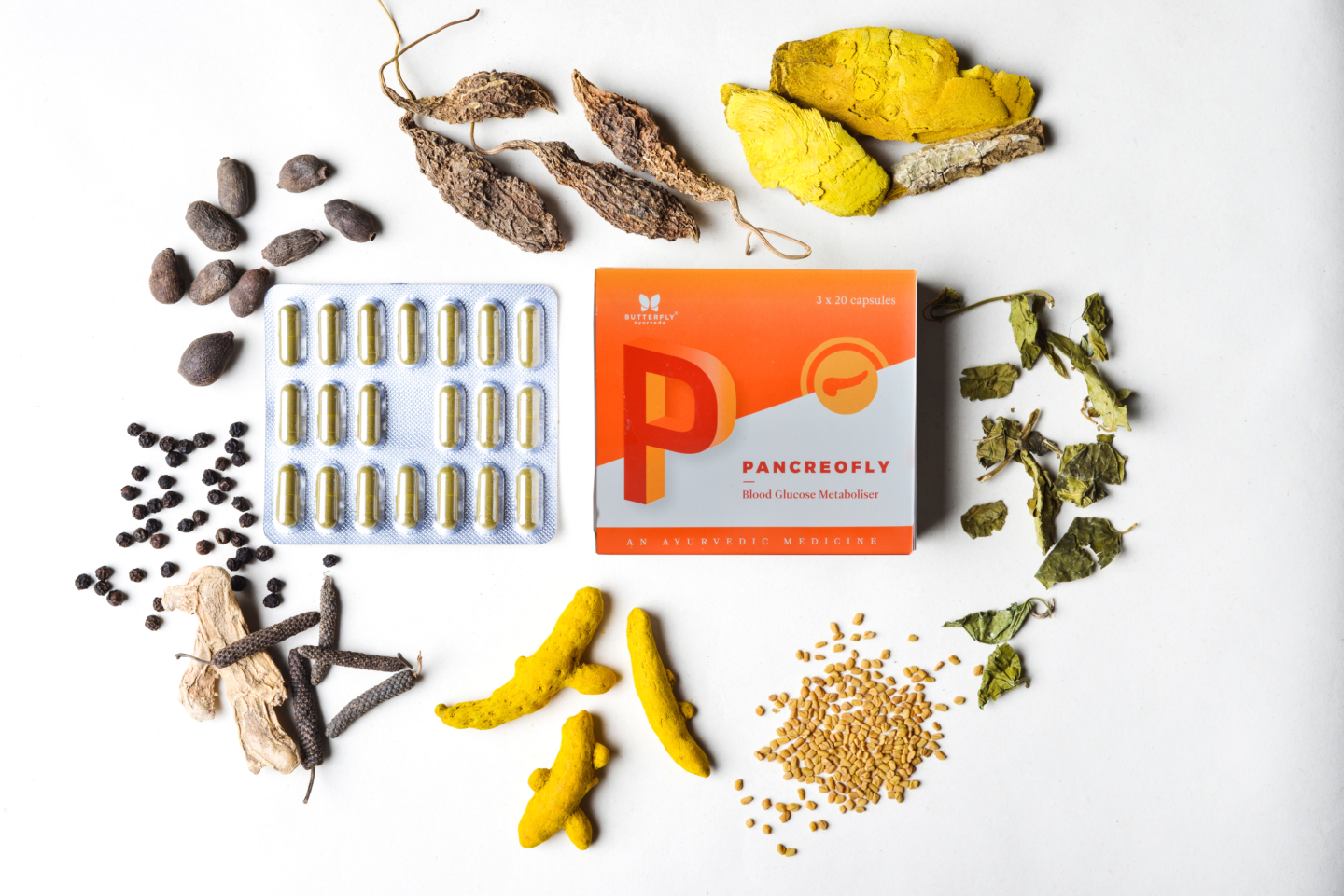 The Causative Factors That Lead to Prameha (Diabetes) – Butterfly Ayurveda